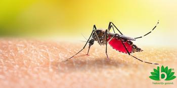 Specialist in gezondheidsproducten | Broeders Gezondheidswinkel